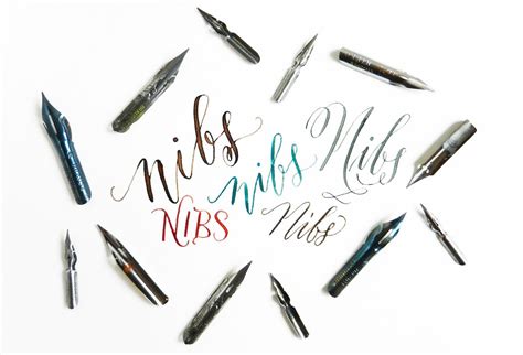 The Lowdown On Calligraphy Nibs Calligraphy Nibs Lettering Tutorial Watercolor Calligraphy