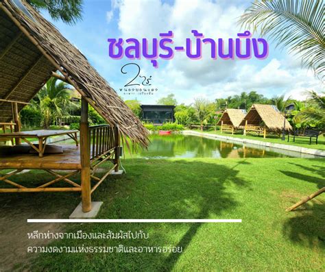 🌿☀️ นั่งทานข้าว ชิวๆ กับ 2 ไร่ หนองบอนแดง จังหวัดชลบุรี