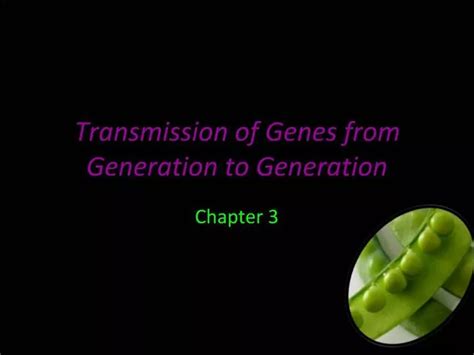 Ppt Transmission Of Genes From Generation To Generation Powerpoint