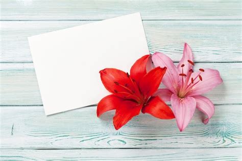 Premium Photo Colorful Lily Flowers And Greeting Card