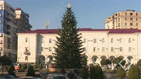 ქობულეთში ნაძვის ხის დემონტაჟი დაიწყო Adjara Tv
