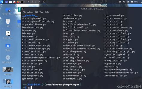 sqlmap简单使用实操 sqlmap u csdn博客