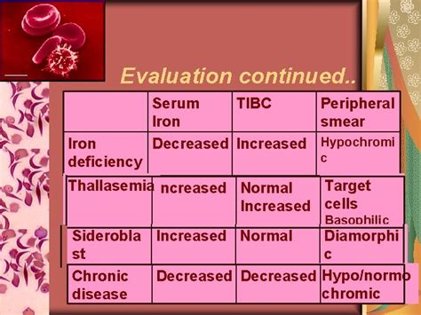 Evaluation Of Anemia Hemoglobin Below The Normal Reference