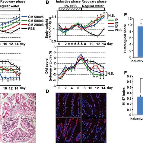 Msc Cm Was Analyzed With The Rat Cytokine Antibody Array And Wnt
