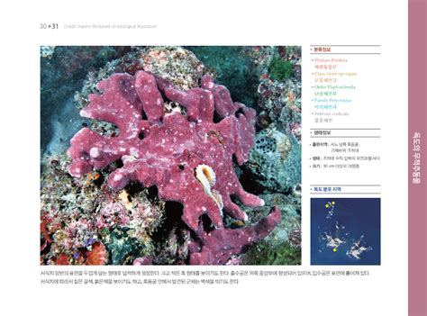 세밀화로 본 독도의 해양생물