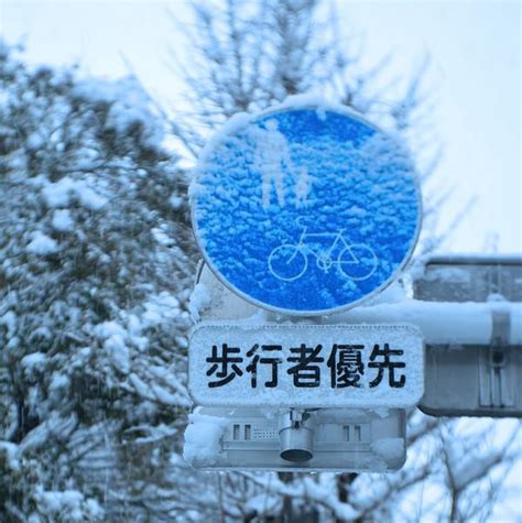 rel preloadを使ってみる cly7796 net