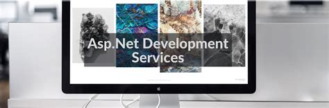Asp Net Development