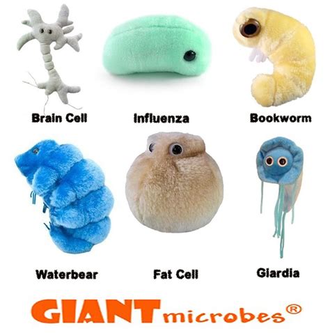 Giant Microbes Plushies Who Knew Giardia Could Be So Cute Giant