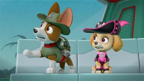 Image Pirate Pups 68 Paw Patrol Wiki Fandom Powered By Wikia