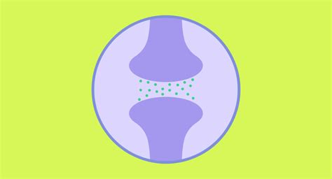 Dopamine Receptors They Do More Than Make Us Feel Good