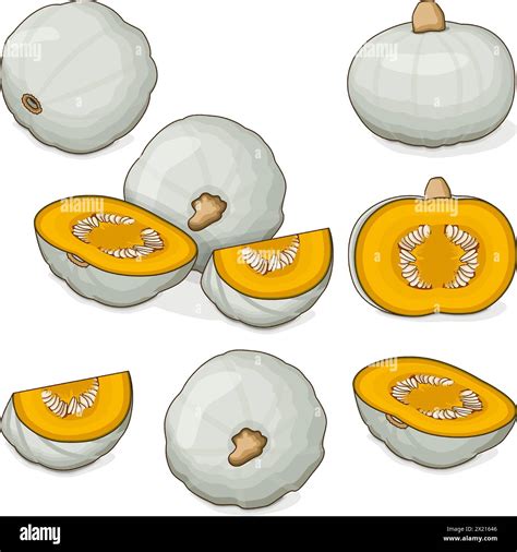 Set Of Crown Prince Squash Winter Squash Cucurbita Maxima Fruits And Vegetables Clipart