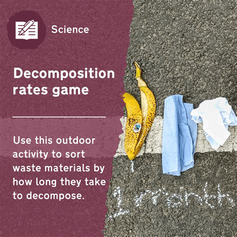Decomposition Rates Game Outdoor Lesson Idea By Learning Through Landscapes