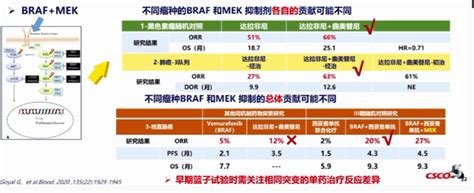 2022 年中国抗肿瘤新药审评情况报告丨cde 专场药物治疗研究