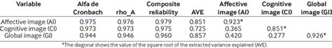 Internal Consistency Convergent And Discriminant Validity Download