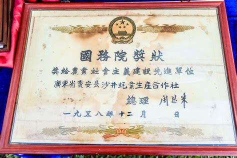 第十七届宝安区沙井金蚝美食民俗文化节开幕 深圳宝安网