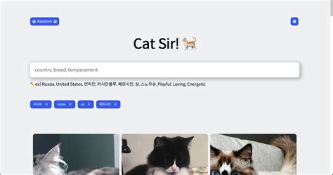 github hong been cat search cat sir 🐈 바닐라js로 리액트 클래스 컴포넌트를 구현하여