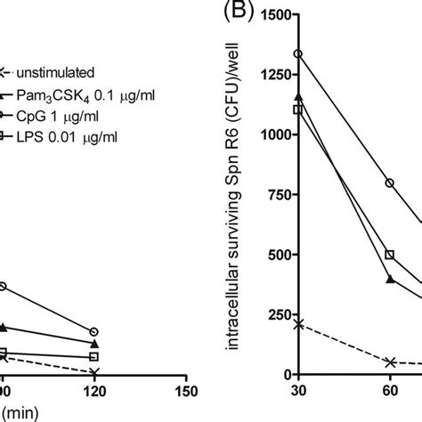 Depolymerization Of Actin Filaments After Cytochalasin D Treatment Download Scientific Diagram