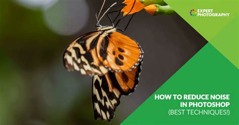 How To Reduce Noise In Photoshop Best Techniques