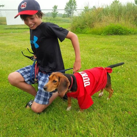 A Conversation About Beagle Testing Speaking Of Research