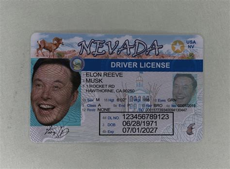Get Your Premium Nevada Fake Id Fast Secure And Realistic