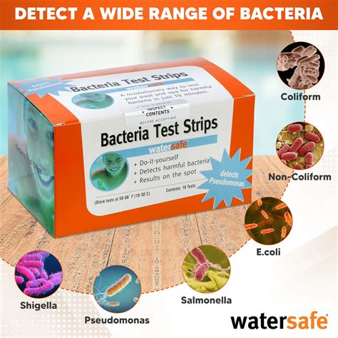 The Original Watersafe Rapid Bacteria 10 Test Kit 1000 Cfuml