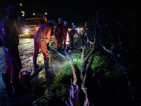 ဒိုက်ဦးမြို့နယ်တွင် မိုးရွာသွန်းပြီး လေပြင်း တိုက်ခတ်မှုကြောင့် သစ်ပင်များ ကားလမ်းပေါ်သို့ လဲက