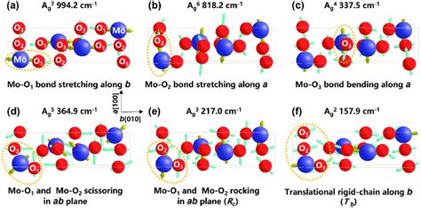 Atomic Vibrational Patterns Of A 7 A G B 6 A G C 4 A G D 5 A