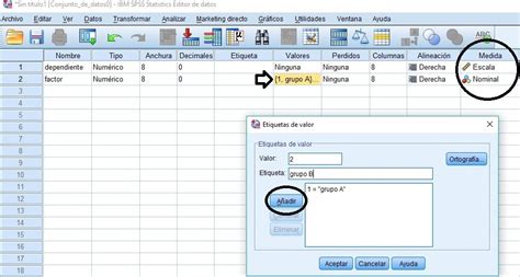 Curso Spss Básico EstamÁtica