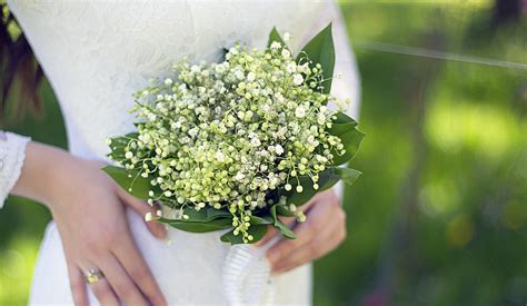Sposo Congeda Gli Invitati Durante Il Banchetto Mia Moglie Mi Ha