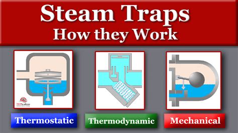 How Steam Traps Work Mep Academy