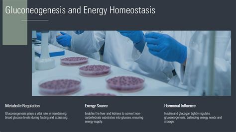 Gluconeogenesis In A Cell Ppt Information Acp Ppt Template