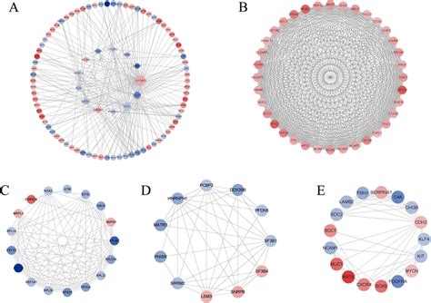 Construction And Module Analysis Of Rna Binding Protein And Its Target Download Scientific