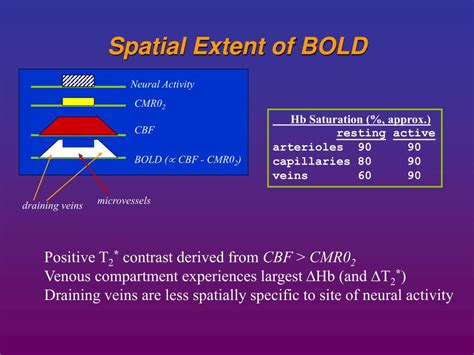 Ppt Bold Contrast Functional Imaging With Mri Powerpoint