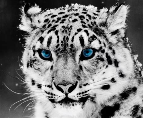 The Difference Between A Vulnerability Assessment And A Penetration