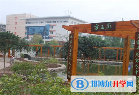 四川省乐至中学2025年排名