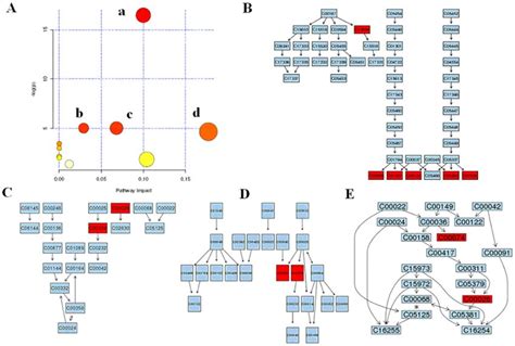 Summary Of Pathway Analysis Identifying Network Pathway By Metpa