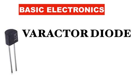 Varactor Diode Basics At Shanna Ornelas Blog