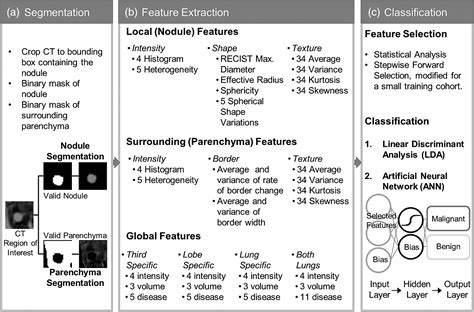 Improved Pulmonary Nodule Classification Utilizing Quantitative Lung Parenchyma Features