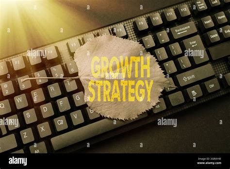 Inspiration Showing Sign Growth Strategy Internet Concept Strategy