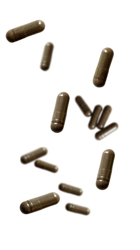 Benefits Of Shilajit Explained