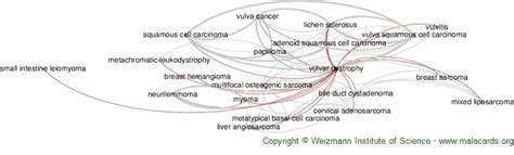 Vulvar Dystrophy Disease Malacards Research Articles Drugs Genes