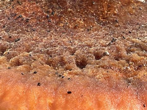 Ganoderma R Shroomid