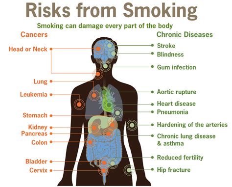 Long Term Effects And Consequences Of Nicotine Addiction Long Term Effects And Consequences Of Nicotine Addiction
