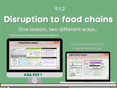 Disruption To Food Chains And Webs Lesson Bundle Teaching Resources