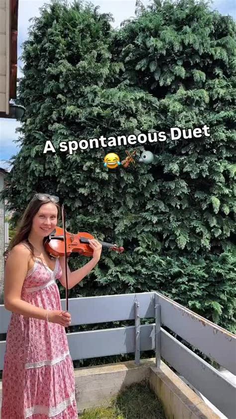 Unconventional Method Of Communicating With Birds Album On Imgur