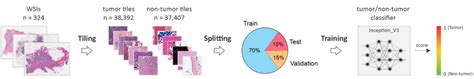 论文审查 Deep Learning Based Classification Of Breast Cancer Molecular