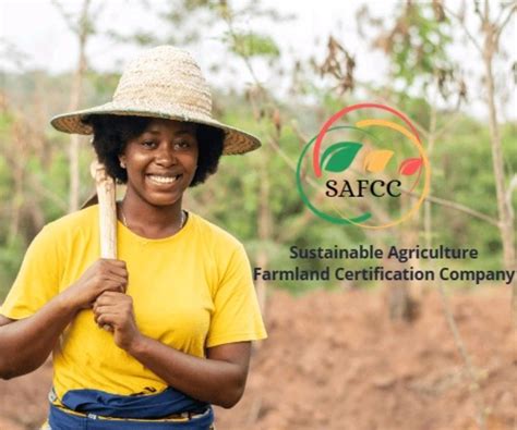 Jean Marc Dassi On Linkedin Happy Teachers Day By Safcc