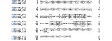 sequence alignment of the cm domains in m tuberculosis yeast and e