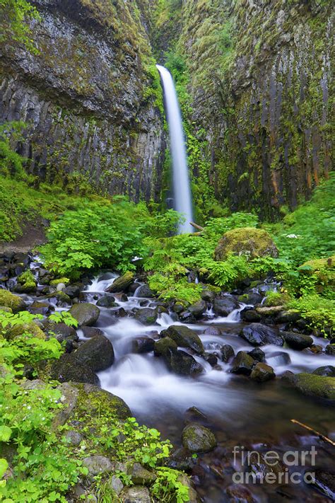 Dry Creek Falls Photograph By Bruce Block Pixels