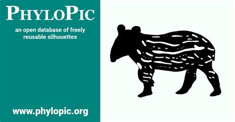 Tapirus Bairdii By Gabriela Palomo Munoz Cc By Nc 30 Phylopic